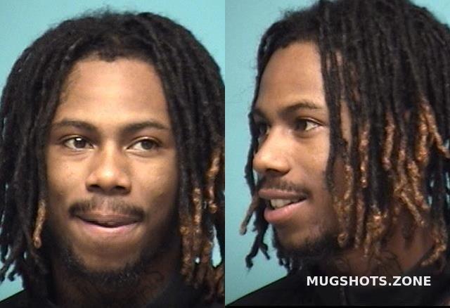 CHERRY DALCAREA 08/26/2023 - Lorain County Mugshots Zone