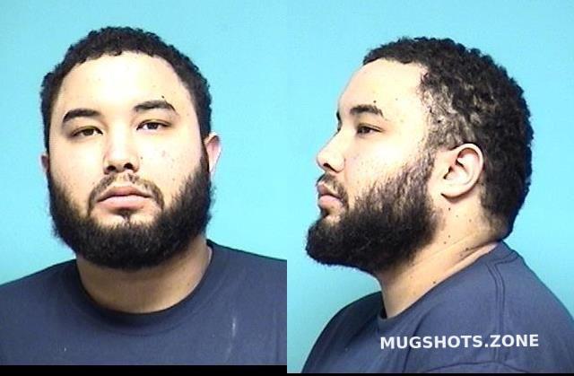 GONZALEZ BRYAN D 02/02/2024 - Lorain County Mugshots Zone