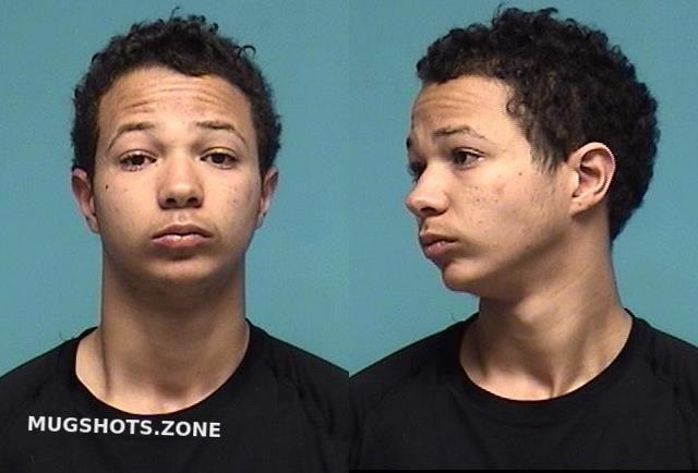 WHITE DILLON D 02/09/2024 - Lorain County Mugshots Zone