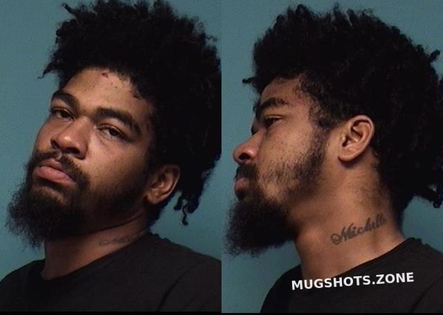 WILSON QUASHAWN DEVANTE 03/01/2024 - Lorain County Mugshots Zone