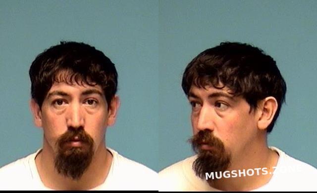 GRAY TIMOTHY L 03/10/2024 - Lorain County Mugshots Zone GRAY TIMOTHY L 03/10/2024 - Lorain County Mugshots Zone
