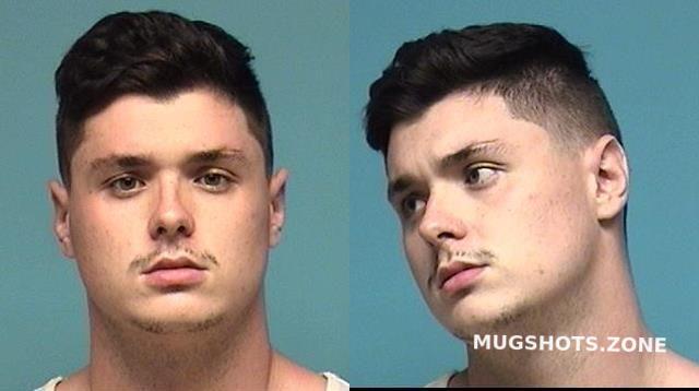 Williams Tyler M 04 05 2024 Lorain County Mugshots Zone