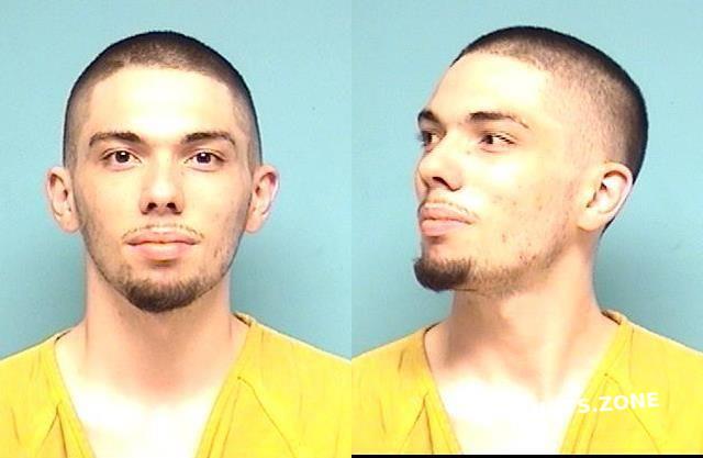 PERINE BRANDON MICHAEL 06/07/2024 - Lorain County Mugshots Zone