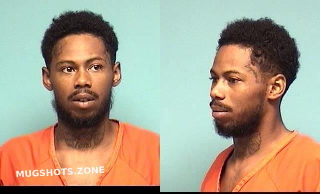 CHERRY DALECAREA 07/04/2024 - Lorain County Mugshots Zone