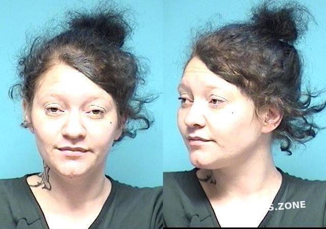 DARLING HALEY NICOLE 07/29/2024 - Lorain County Mugshots Zone