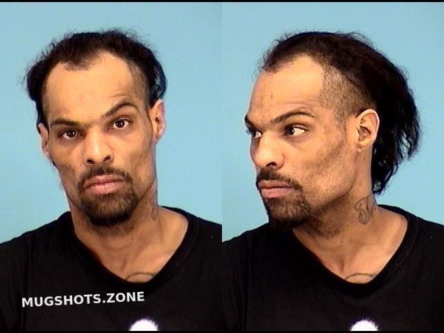 BLAKELY DELOREAN C 08/12/2024 - Lorain County Mugshots Zone