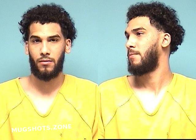 RUMACK JAYDAN 11/07/2024 - Lorain County Mugshots Zone