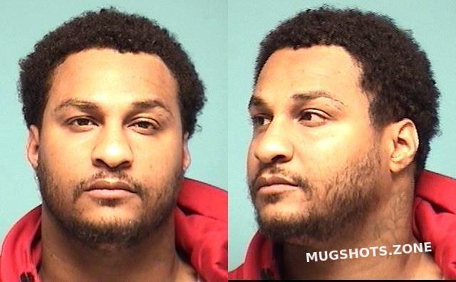 KING BRIAN DEWAYNE 11/21/2024 - Lorain County Mugshots Zone