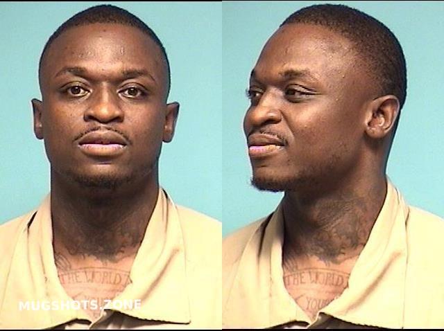 MCCULLUM TYVEZ S 12/03/2024 - Lorain County Mugshots Zone