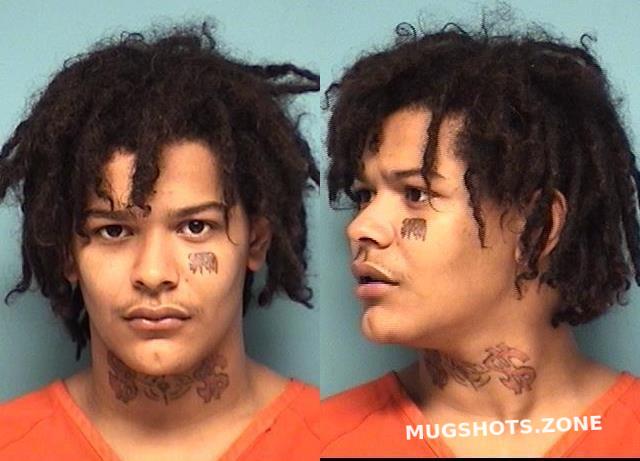 PENNY JORDAN GAVIN 12/07/2024 - Lorain County Mugshots Zone