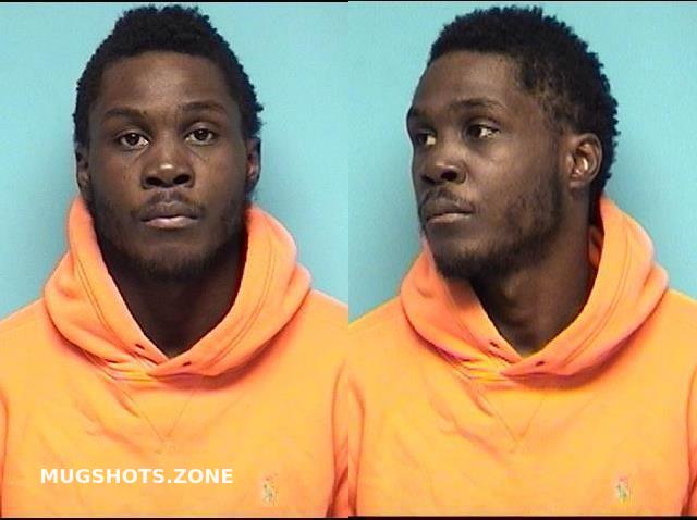 INGRAM DALLAS L 12/23/2024 - Lorain County Mugshots Zone