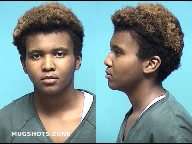 KELSON LUNDON 01/01/2025 - Lorain County Mugshots Zone