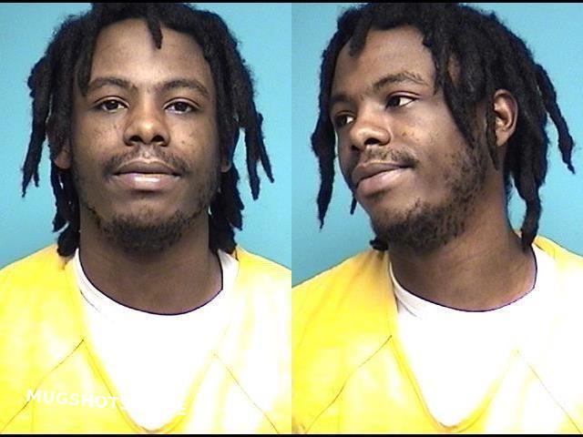 ELLIS QUENTIN Q 01/24/2025 - Lorain County Mugshots Zone