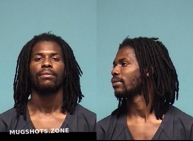 RIGGINS RAYMOND 02/23/2025 - Lorain County Mugshots Zone