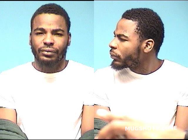 RIDDLES TERRANCE SCOTT JUNIOR 03/11/2025 - Lorain County Mugshots Zone