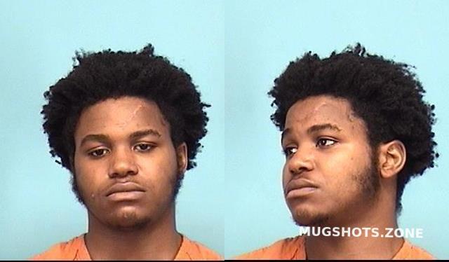 RIGGINS MICHAEL JOSEPH 03/14/2025 - Lorain County Mugshots Zone