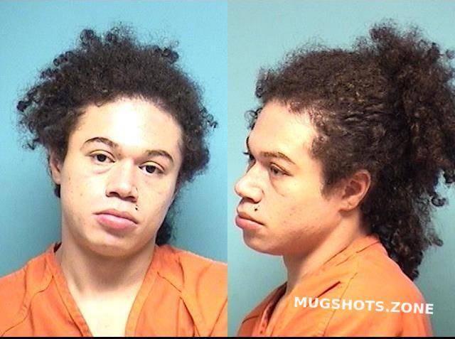 DOLIN JOSHUA DAVID 03/19/2025 - Lorain County Mugshots Zone