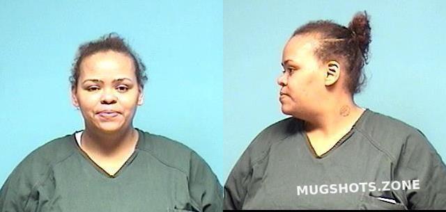ARROYO VIOLET MICHELLE 04/12/2025 - Lorain County Mugshots Zone
