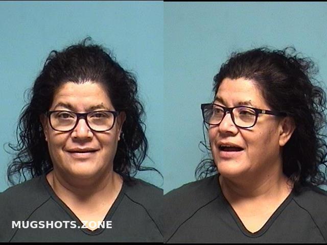 CASTANEDA CELIA V 06/08/2025 - Lorain County Mugshots Zone