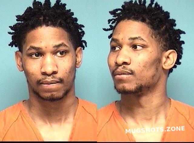 DAVIS TERRANCE W 06/30/2025 - Lorain County Mugshots Zone