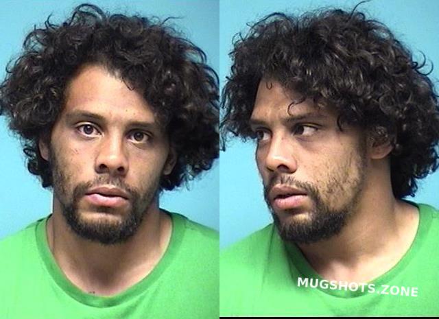 OLIVER TYLER J 07/04/2025 - Lorain County Mugshots Zone
