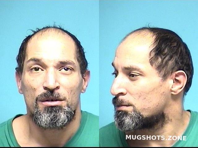 ZIGMUND-HOLLAND ADRIAN E 07/08/2025 - Lorain County Mugshots Zone