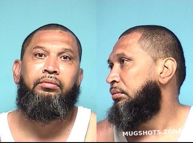 MAYO JASON RENEA 07/19/2025 - Lorain County Mugshots Zone