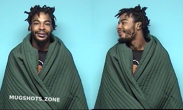 RIDDLES TERRANCE SCOTT JUNIOR 08/23/2025 - Lorain County Mugshots Zone