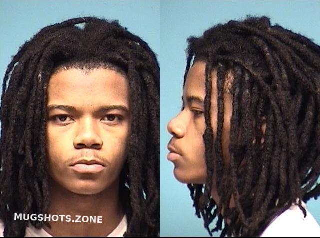 TINSLEY DAMYR J 11/05/2025 - Lorain County Mugshots Zone