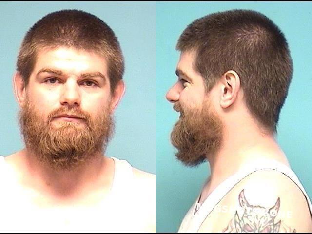 BRITTON BRYAN 11/16/2025 - Lorain County Mugshots Zone