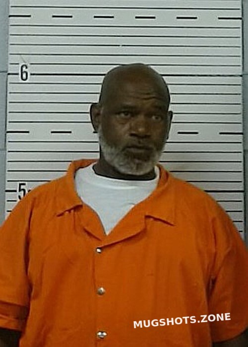 HENRY DAVIS 06/13/2024 - Lowndes County Mugshots Zone HENRY DAVIS 06/13/2024 - Lowndes County Mugshots Zone