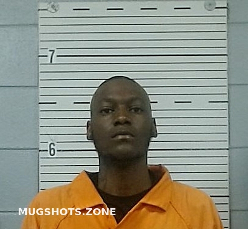 JA'DARRIUS MCPHERSON 01/02/2025 - Lowndes County Mugshots Zone