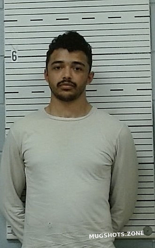 SPENCER HODGES 04/01/2025 - Lowndes County Mugshots Zone