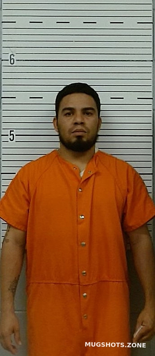 ELMAR GOMEZ 05/08/2025 - Lowndes County Mugshots Zone