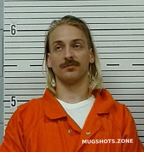 RYLAN TAYLOR 06/19/2025 - Lowndes County Mugshots Zone