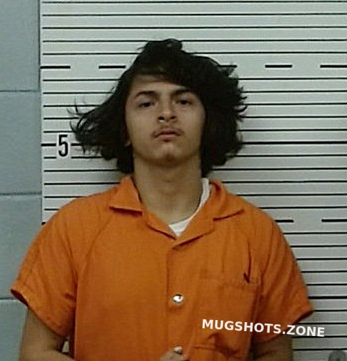 NATHAN ZELLER 10/31/2025 - Lowndes County Mugshots Zone