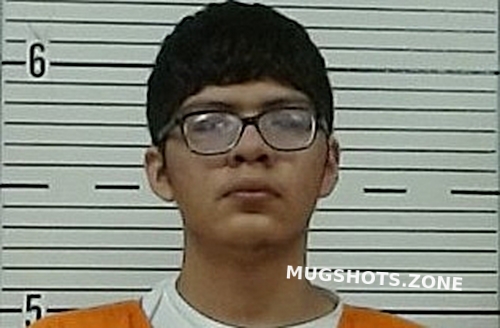 BRANDON ESCOBEDO 11/11/2025 - Lowndes County Mugshots Zone