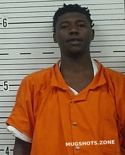 NYIZELL TYUS 12/08/2025 - Lowndes County Mugshots Zone