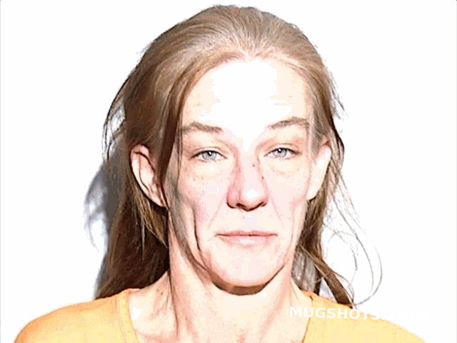 SLEESMAN STACEY LYNN 03/03/2023 - Lucas County Mugshots Zone SLEESMAN STACEY LYNN 03/03/2023 - Lucas County Mugshots Zone
