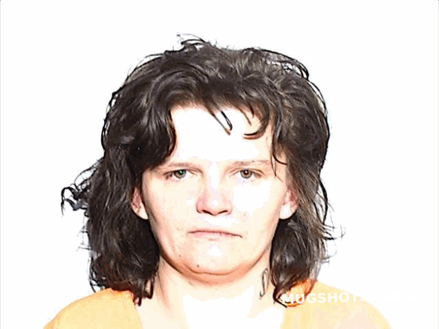 WESTFALL ASHLEY CHRISTINE 03/12/2023 - Lucas County Mugshots Zone