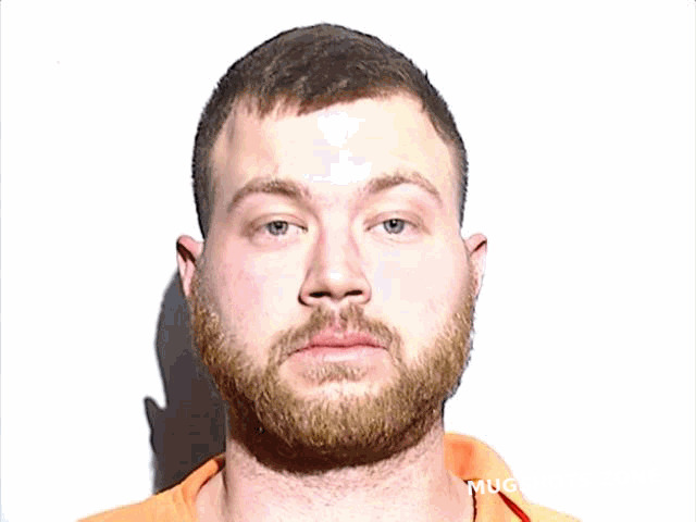 BRANT DANIEL JOSEPH 03/12/2023 - Lucas County Mugshots Zone