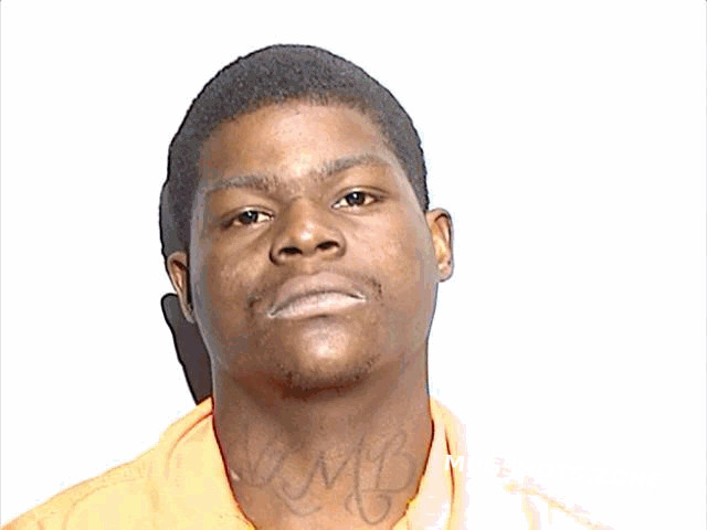 LUCAS EWIN 03/22/2023 - Lucas County Mugshots Zone