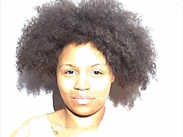SIMMONS IESHA SAMONE 03/25/2023 - Lucas County Mugshots Zone