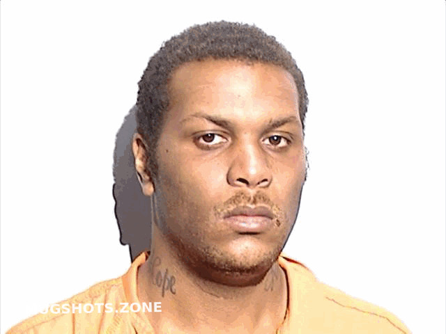 LEWIS TREY FITZGERALD 03/28/2023 - Lucas County Mugshots Zone