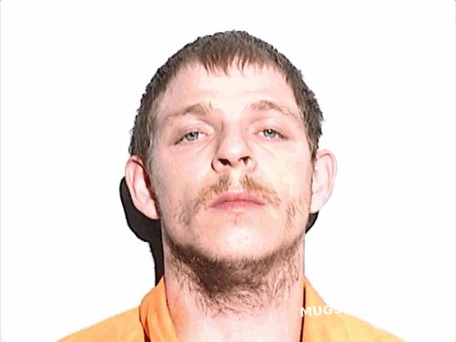 HIRSCHFIELD BENJAMIN EDWARD 03/31/2023 - Lucas County Mugshots Zone