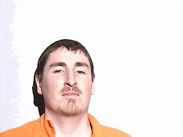 CASTILLEJA RYAN RICHARD 04/03/2023 - Lucas County Mugshots Zone