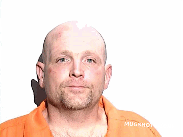 WILLIAMS BRIAN RICHARD 04/08/2023 - Lucas County Mugshots Zone