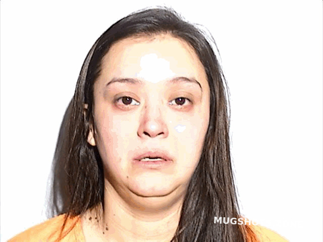GARZA ANA ELISA 04/09/2023 - Lucas County Mugshots Zone