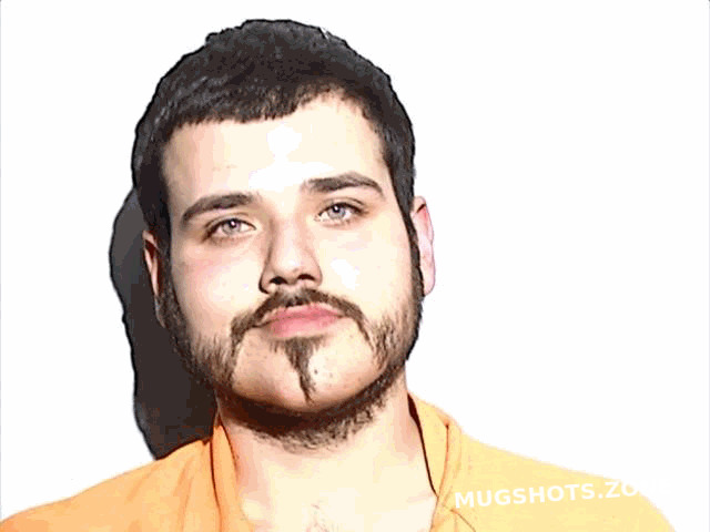 WOLF JAMES RUSSELL 04/11/2023 - Lucas County Mugshots Zone