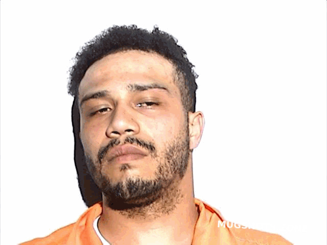 PROTHERO ANTHONY ROBERT 04/13/2023 - Lucas County Mugshots Zone